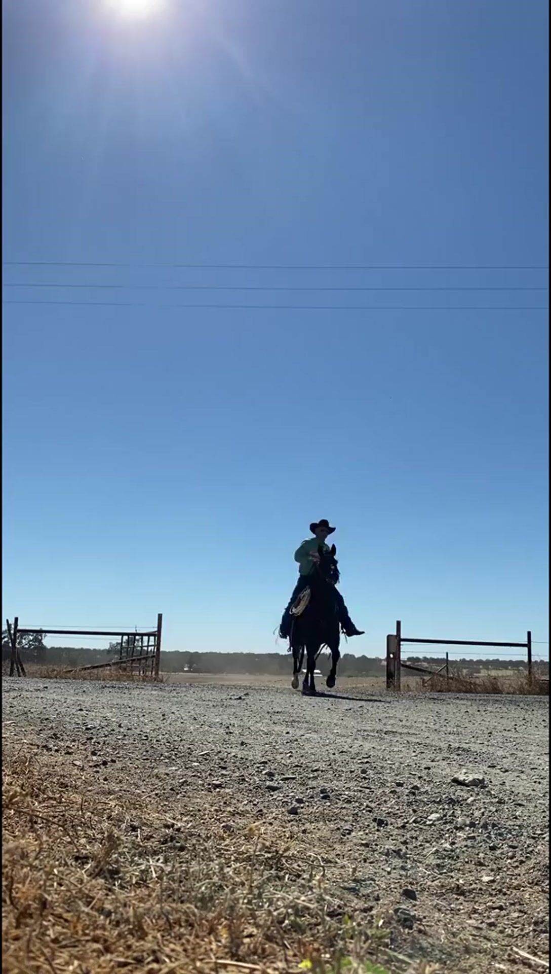 Home | Bridwell Pro Rodeos