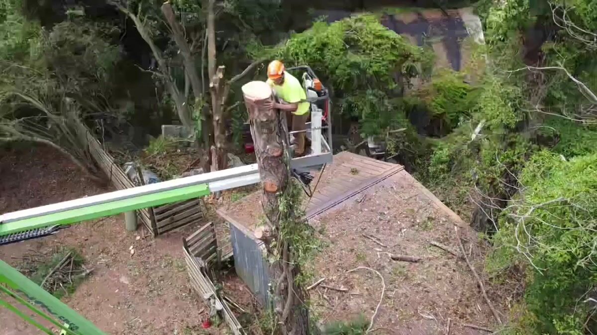 Video Player is loading.