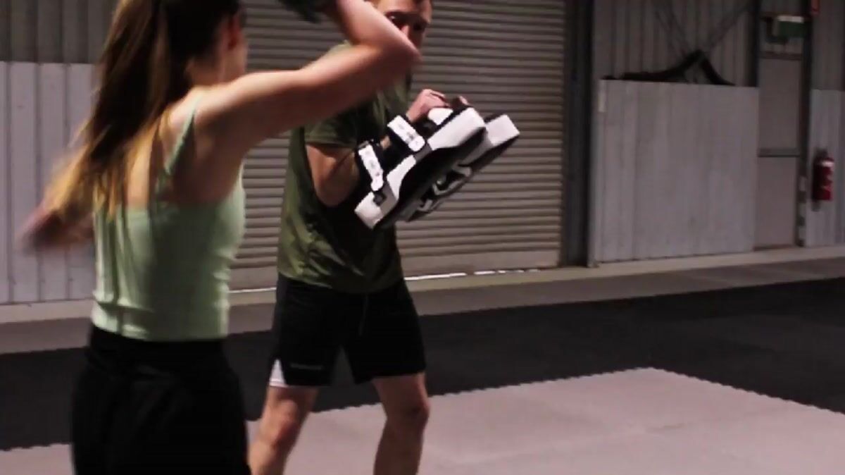 Dynamic Striking | Dynamic Defence Systems