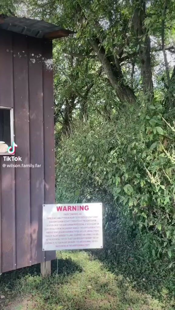 Home | THE WILSON FAMILY FARM