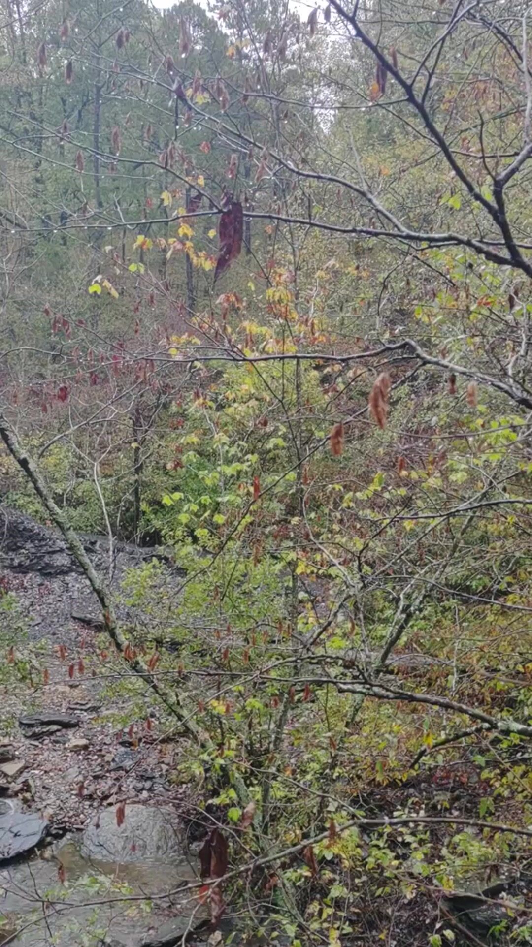 Activities | Welcome to Fancy Hill Cabins and RV Park LLC Fancy Hill ...