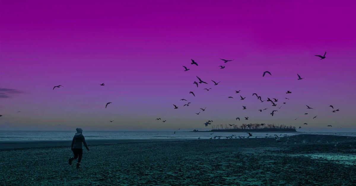 Intuitive Readings, Energy Healer, Medical Intuitive, Mentorship ...