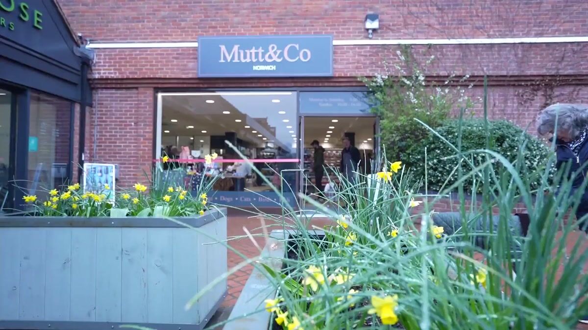 Mutt & Co | Dog Grooming & Pet Shop in Eaton, Norwich | Mutt & Co