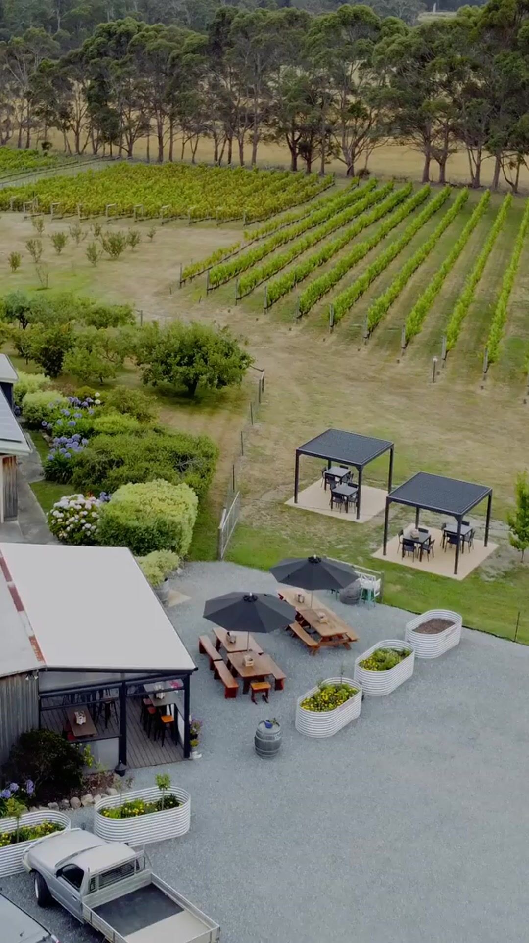 Home | Winter Brook Vineyard