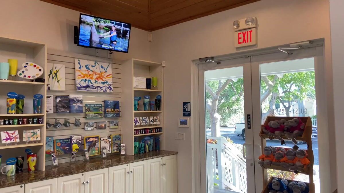 Home | Dolphins Plus Retail