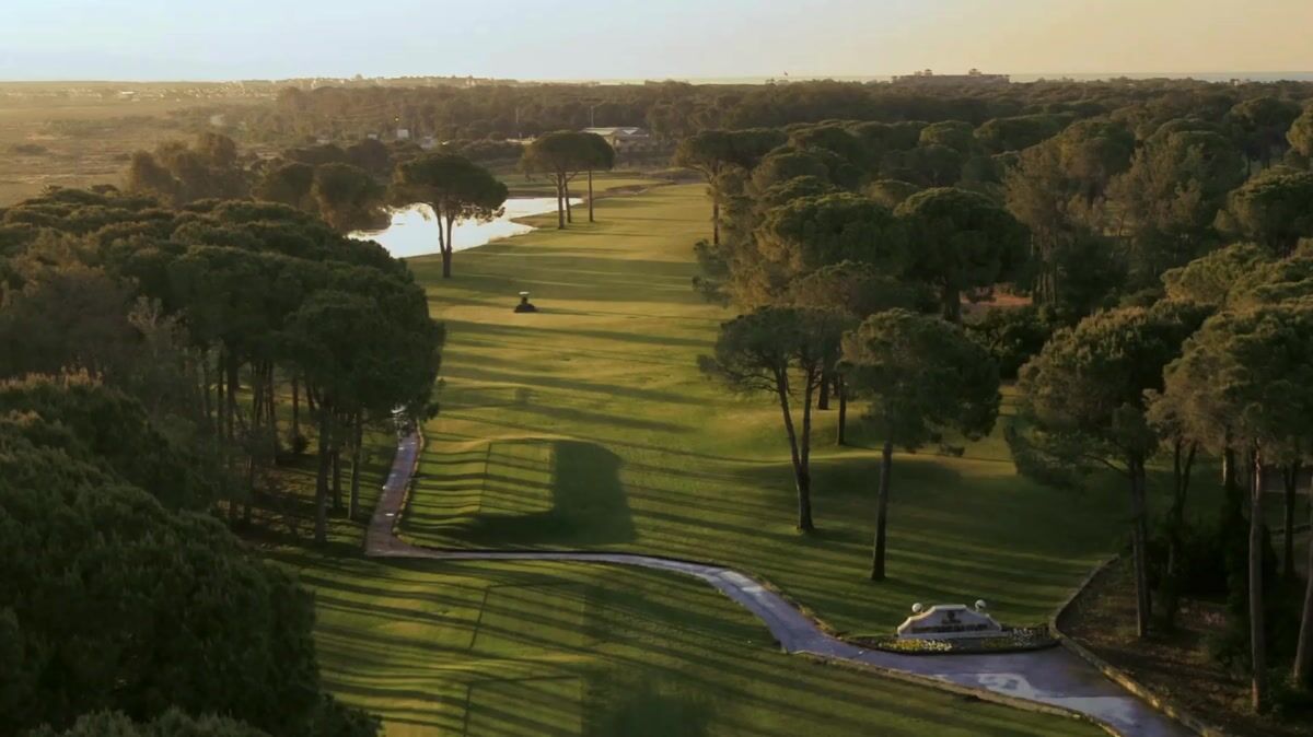 Home | Golf Pub Social