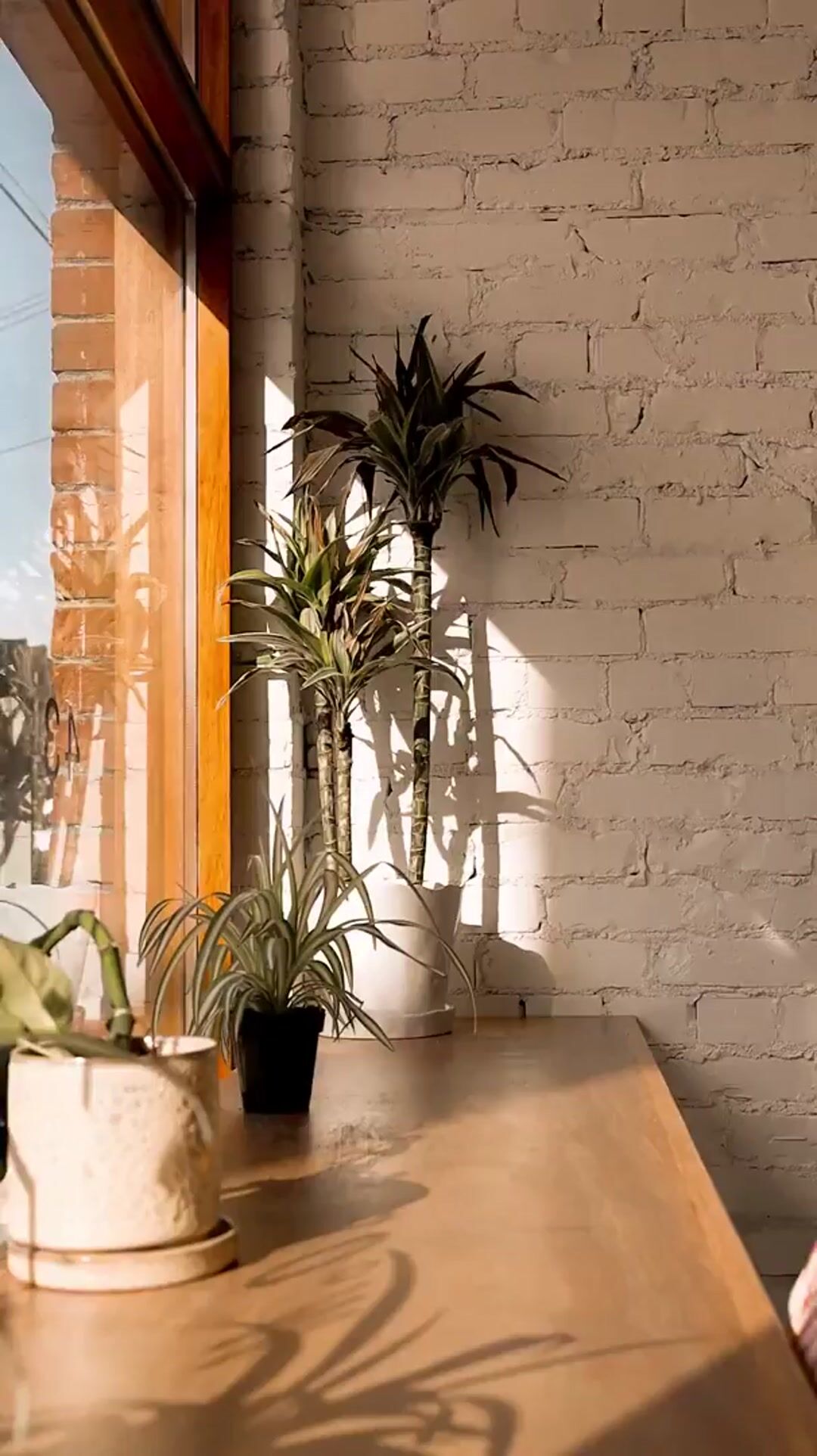 Australian Specialty Coffee Shop and Roastery Toronto Canada | Found ...