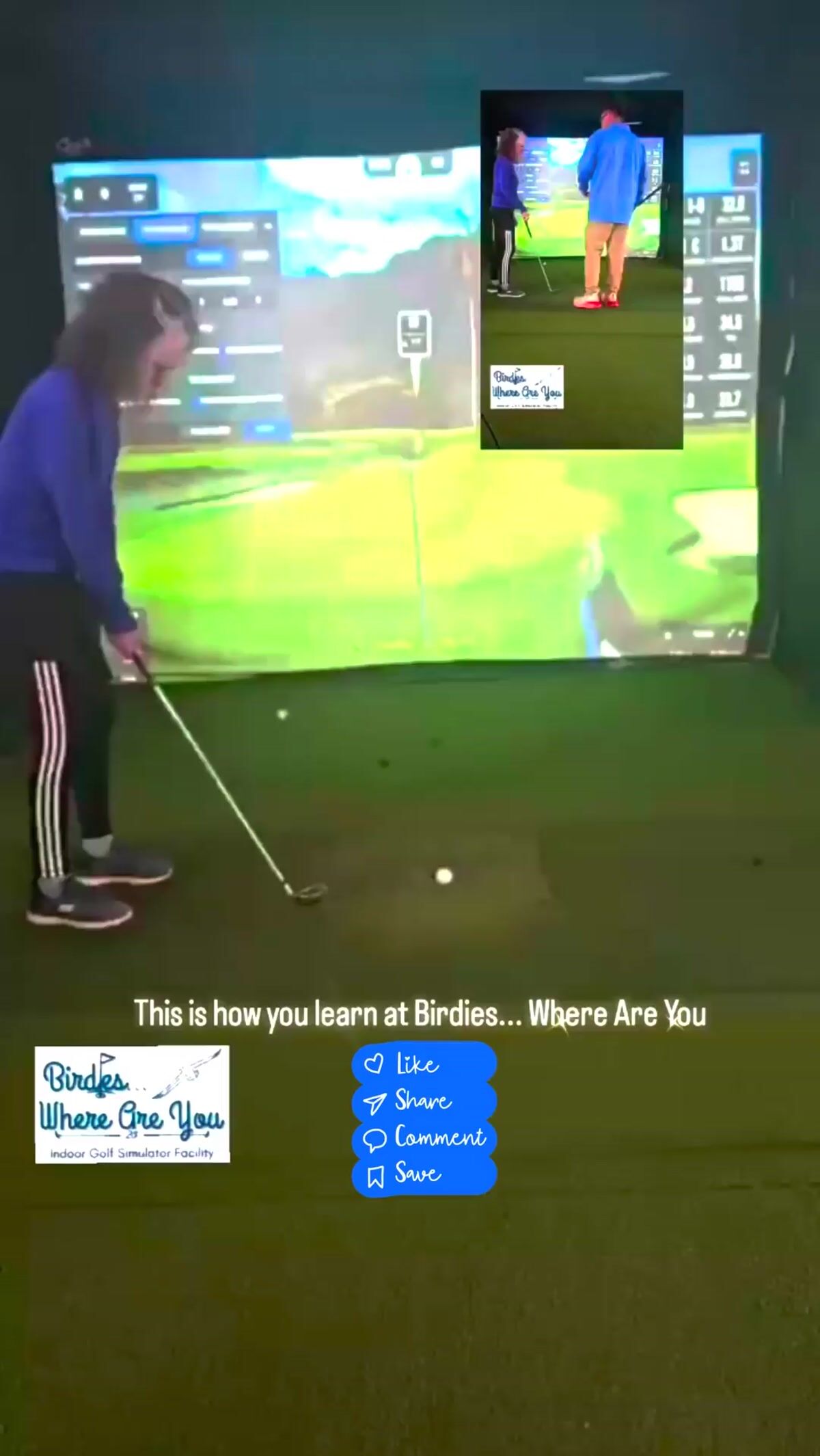 Golf Lessons | Birdies Where Are You - Indoor Coaching at SML, VA ...