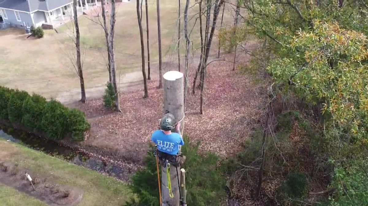 Video Player is loading.