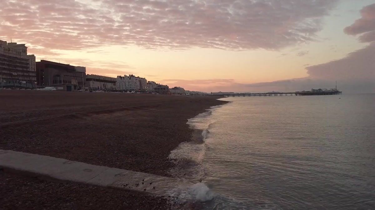 Home | Papillon Living