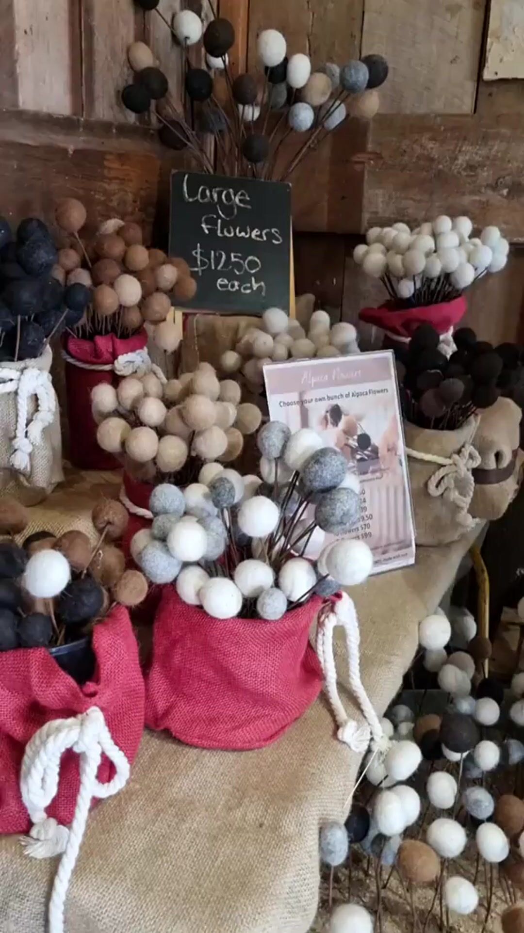 Farm Shop | Quentin Park Alpacas & Studio Gallery