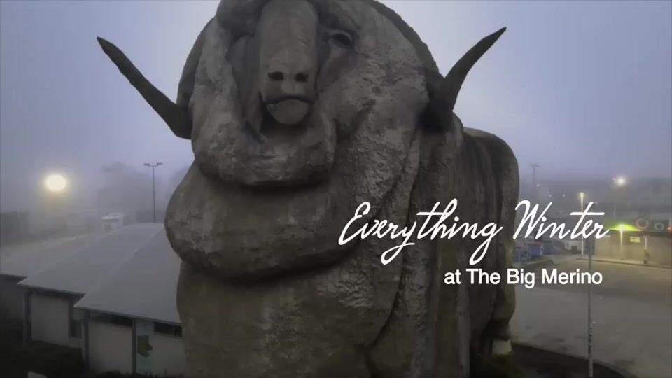 Home | The Big Merino