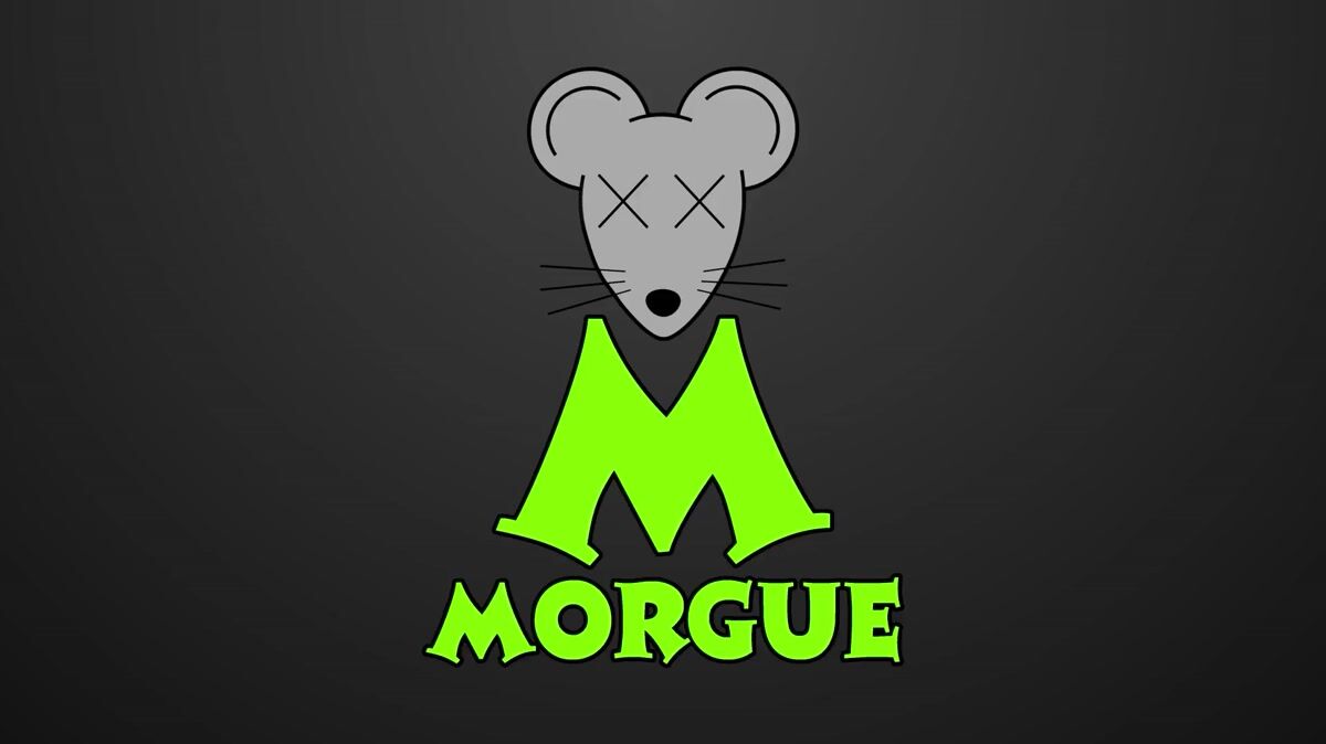 More Effective & Easy-to-Set Mouse Traps | Mouse Morgue