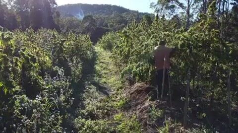 Our farmers | Northern Rivers Hemp