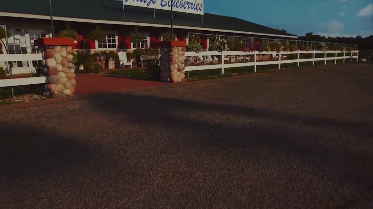 Fresh Blueberries & Seasonal Fruit | U-Pick Available | Brookside Farms